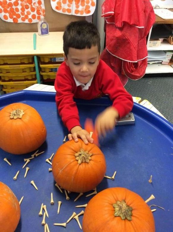 Tithe Farm Primary School - Diamond