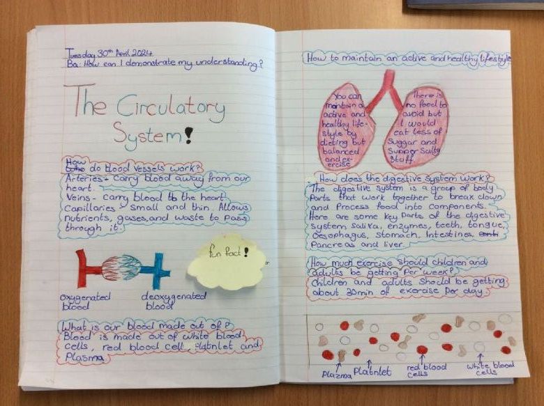 Tithe Farm Primary School - Aquamarine