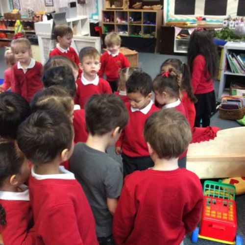 Tithe Farm Primary School - An egg has arrived