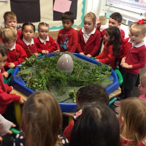 Tithe Farm Primary School - An egg has arrived